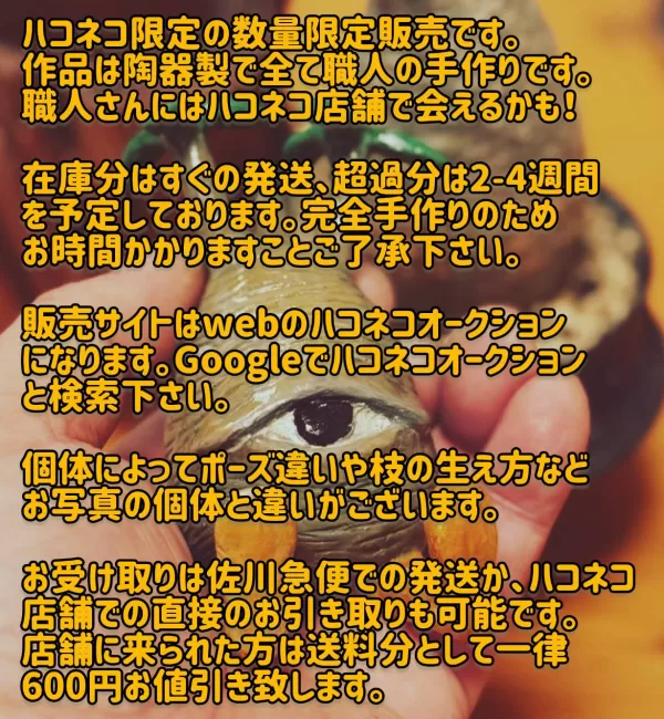 塊根植物専門『ハコネコオークション』開催中！！ – HakoNeko_Plantsグラキリス君 完全ハンドメイド作品(数量限定販売) - 塊根 ...